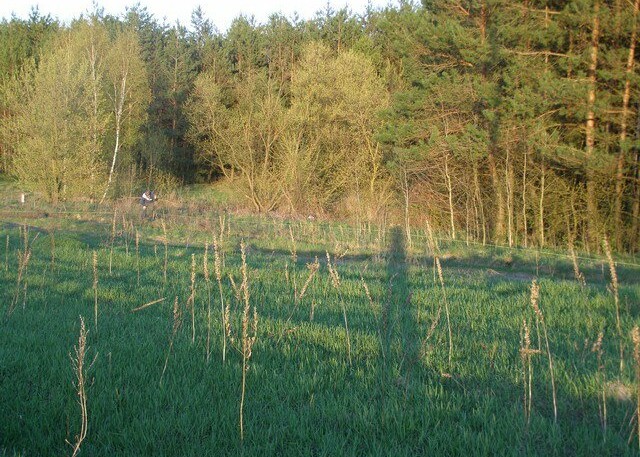 Nemo - Break the code europe tour 2025: Концерт, 10 жовтня - Atlas ...